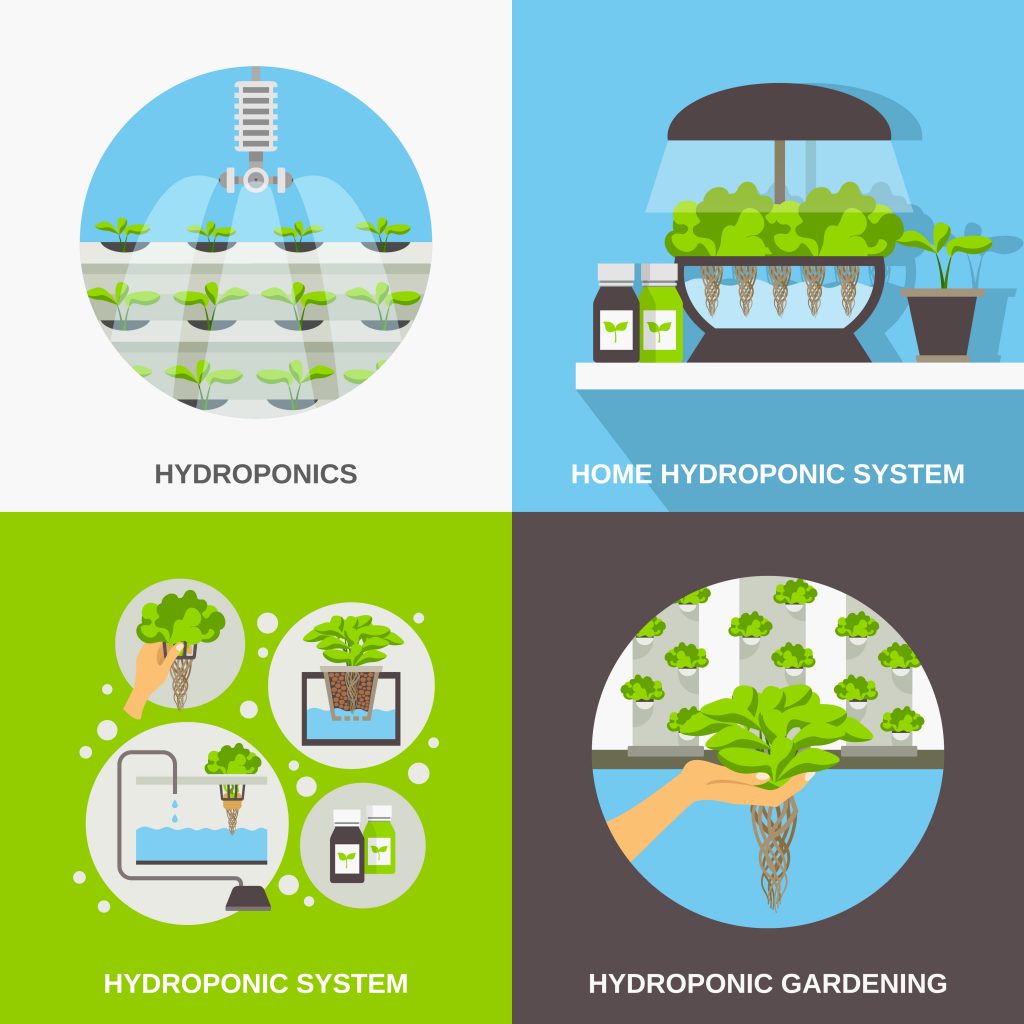 Hydroponics (Soil-Less Cultivation): A Space Effective and Water ...