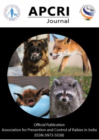 publish in this journal